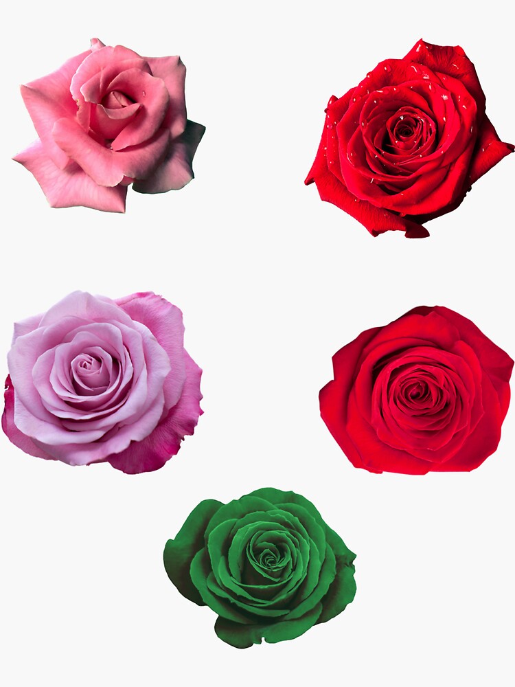 "Rosesss " Sticker for Sale by ChandiG | Redbubble