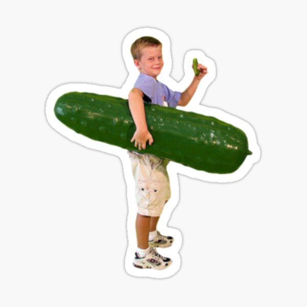 "Pickle kid " Sticker for Sale by Need-Passport | Redbubble