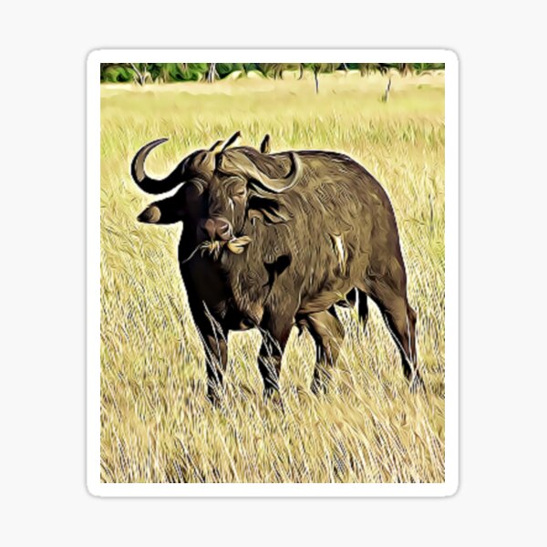 "Buffalo" Sticker for Sale by Sneshka | Redbubble