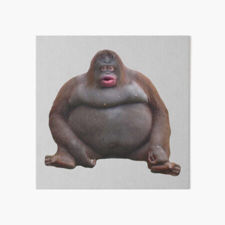 "Le Monke Meme" Art Board Print for Sale by tttatia | Redbubble