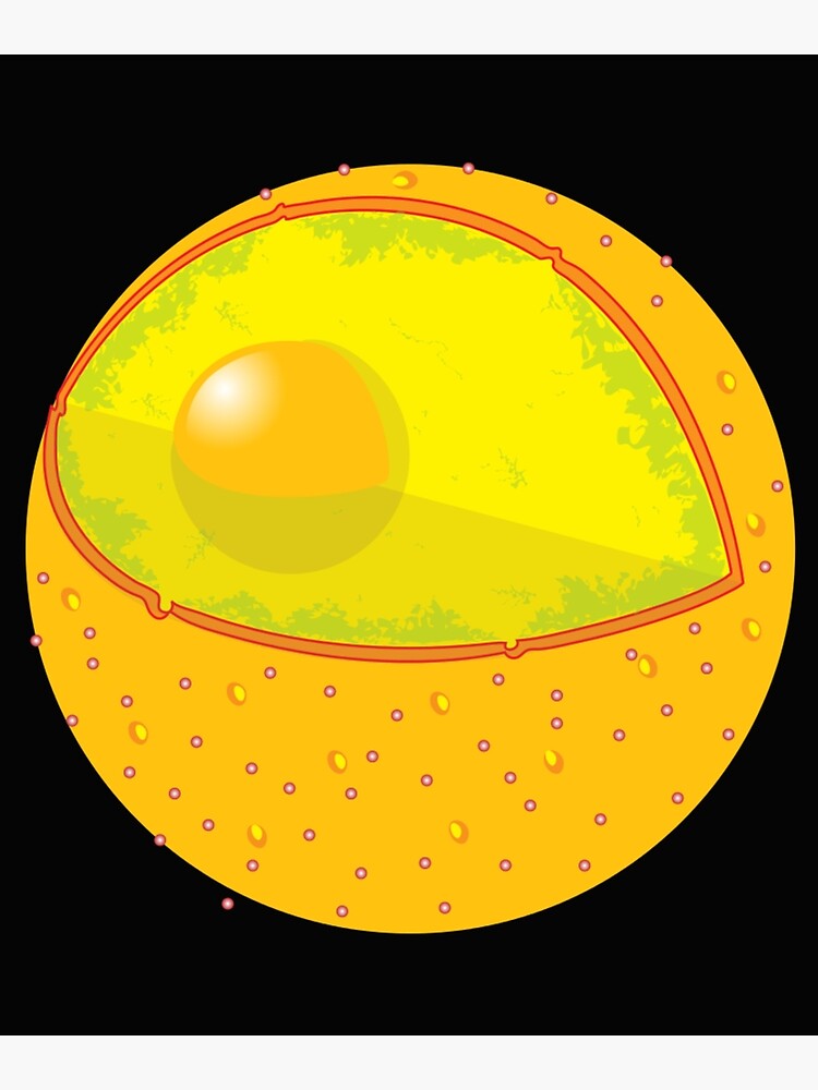 "Nucleus" Poster for Sale by Atlastoun | Redbubble