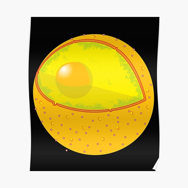"Nucleus" Poster for Sale by Atlastoun | Redbubble