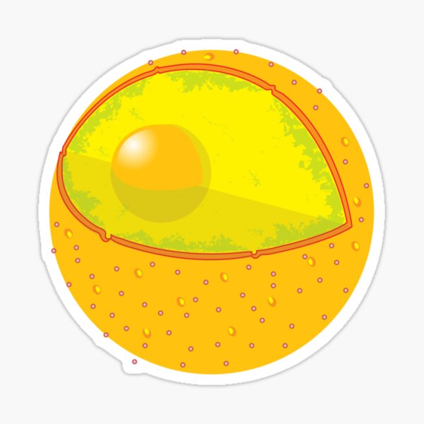 "Nucleus" Sticker for Sale by Atlastoun | Redbubble