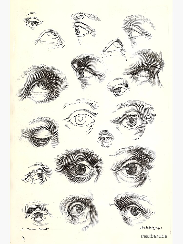 "Many Eye Drawings - c. 1675 Illustrations" Sticker for Sale by ...