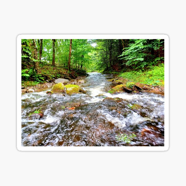 "ongoing creek" Sticker for Sale by jaybons | Redbubble