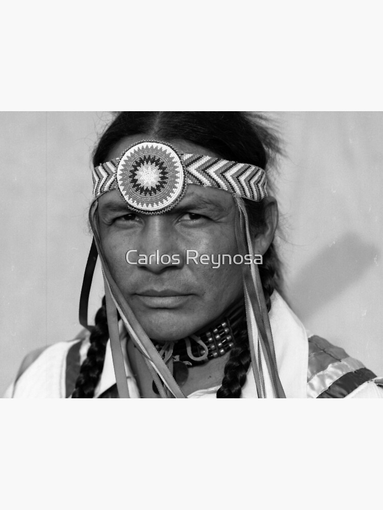 "Steve Reevis" Poster for Sale by guitarlos | Redbubble