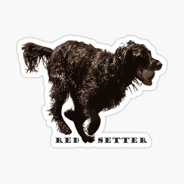 "Red Setter in Action: Colour Logo" Sticker by AliusImago | Redbubble