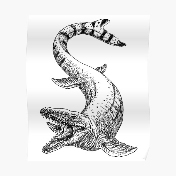 "Mosasaurus - Sea monster- black" Poster for Sale by samchandra | Redbubble
