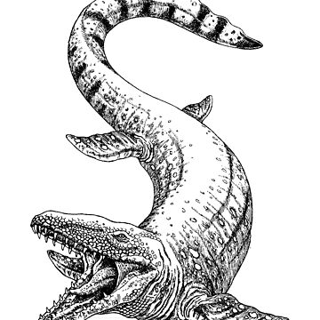"Mosasaurus - Sea monster- black" Art Board Print for Sale by ...