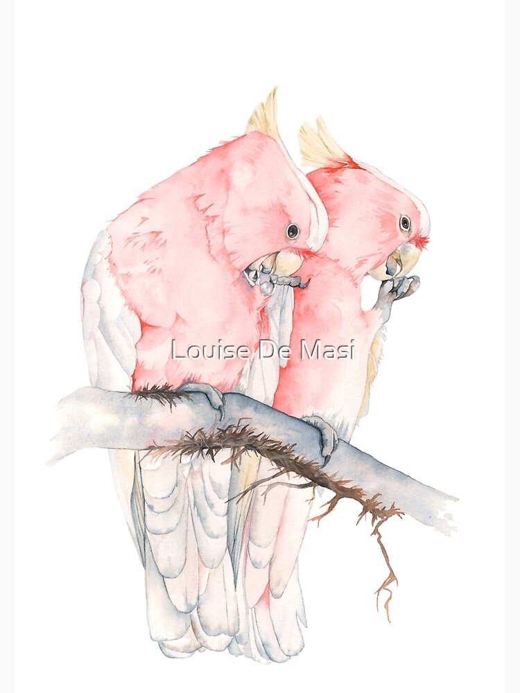 "Major Mitchell Cockatoos" Art Print by Louisedemasi | Redbubble
