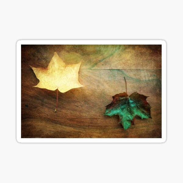 "Juxtaposition" Sticker for Sale by DebraCox | Redbubble