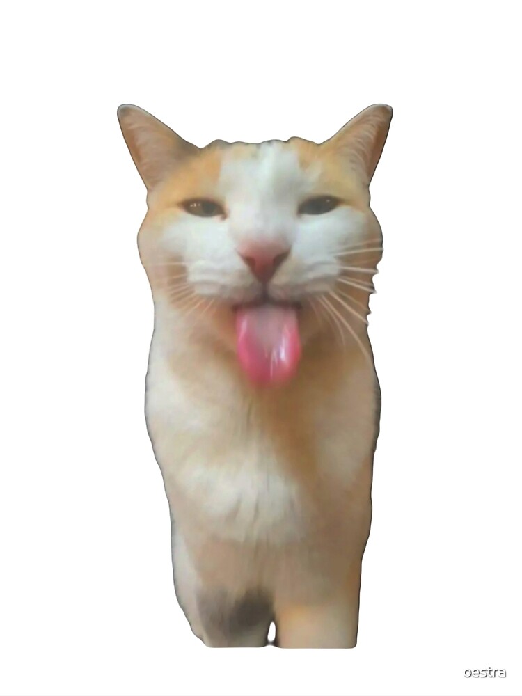 "BLEH cat" Canvas Print for Sale by oestra | Redbubble