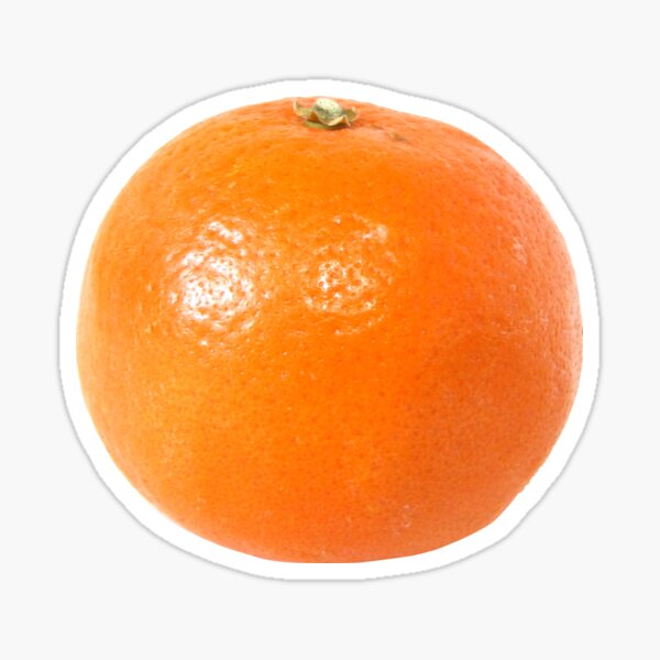 Cute Orange Clementine Sticker Water Resistant Laminated Vinyl Decal ...