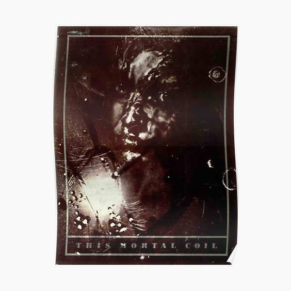 "This Mortal Coil This" Poster for Sale by brenttyron | Redbubble