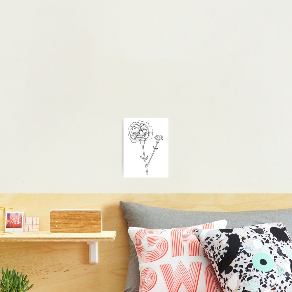 "Carnation Fine Line Drawing" Poster for Sale by BluebellPainter ...