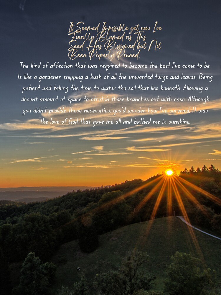 "It Seemed Impossible Yet Now I've Finally Bloomed As This Seed Has ...