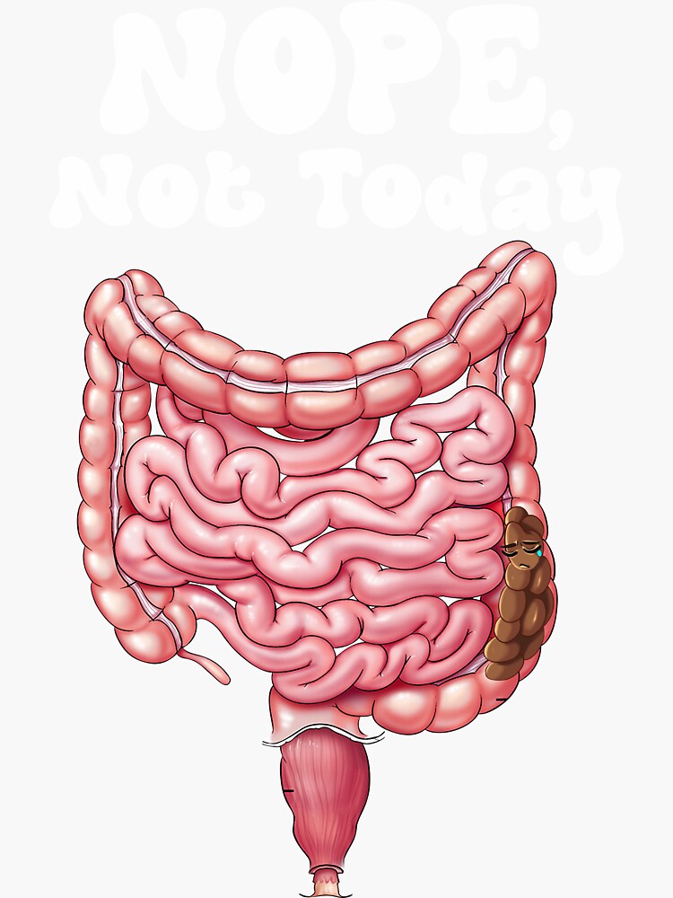 "Not Today Funny Constipation" Sticker for Sale by Scotte-Swiercz ...