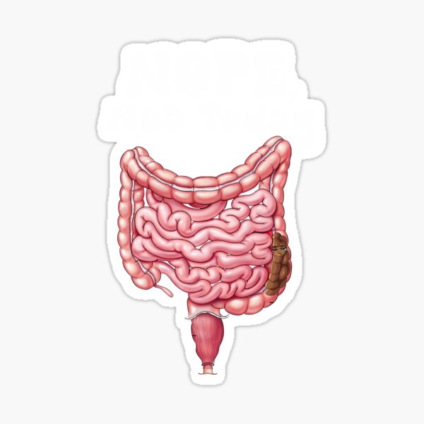 "Not Today Funny Constipation" Sticker for Sale by Scotte-Swiercz ...