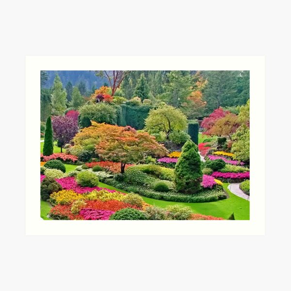 "Butchart Gardens " Art Print for Sale by AnnDixon | Redbubble
