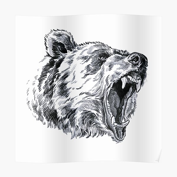 "Roaring bear head" Poster for Sale by SakalDesign | Redbubble