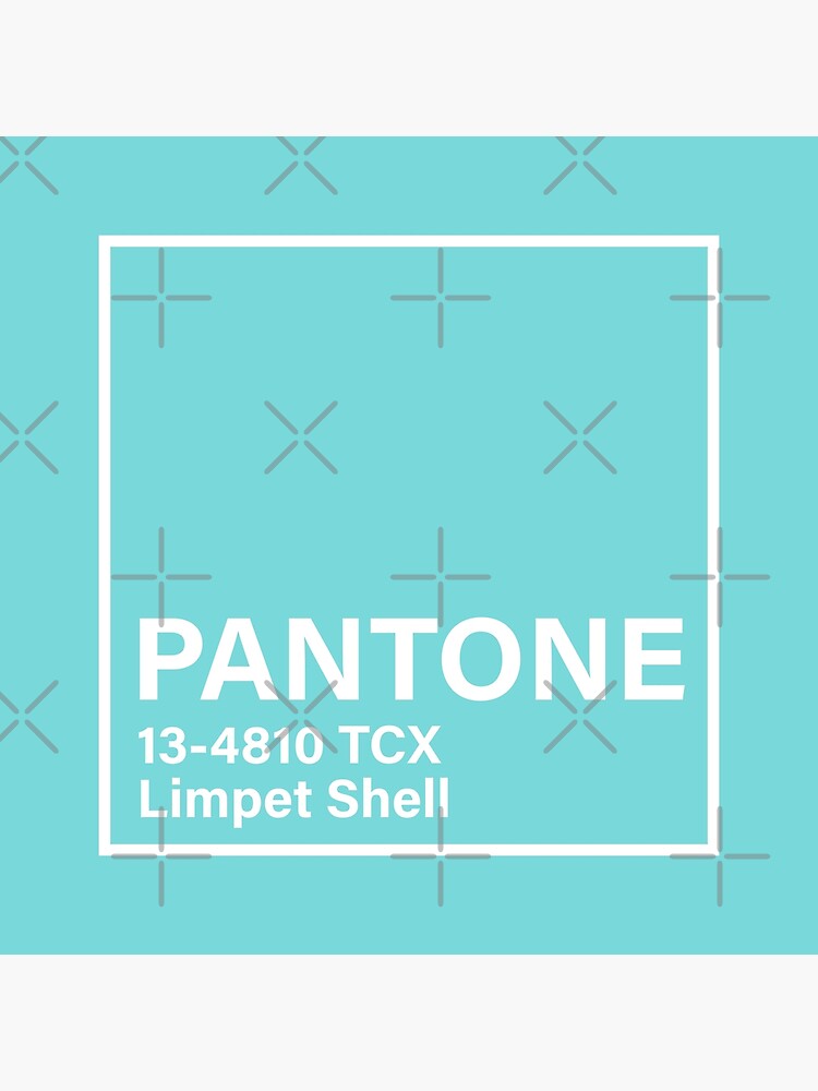 "pantone 13-4810 TCX Limpet Shell" Poster for Sale by princessmi-com ...