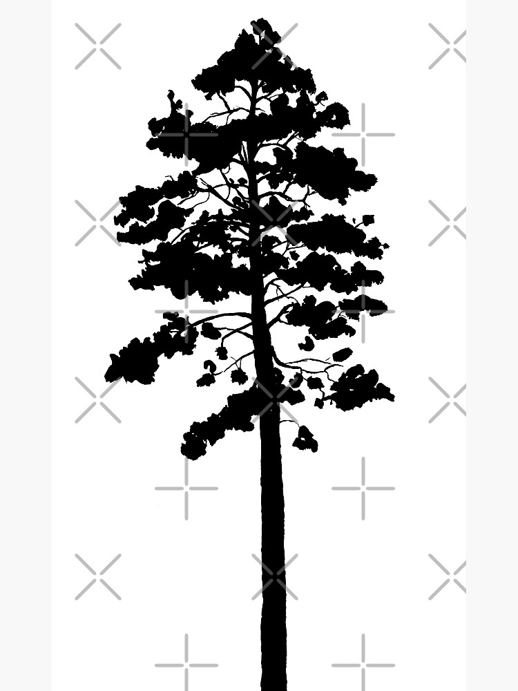 "Strong black and white pine tree" Poster for Sale by RandomlyArts ...
