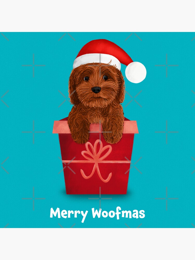 "Christmas Red Cockapoo Cavapoo Cavoodle doodle" Sticker for Sale by ...