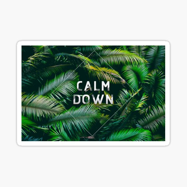 "calm down" Sticker for Sale by Ramovicana | Redbubble