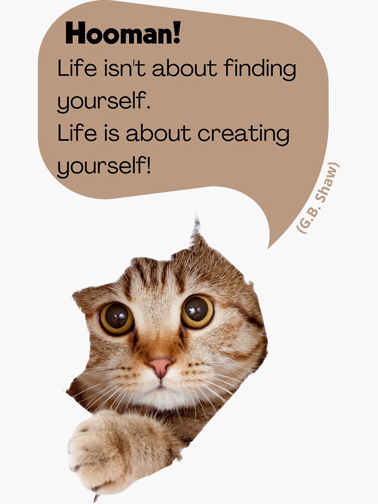 "Warning Cat Shaw Quote" Sticker for Sale by QuotesBanana | Redbubble