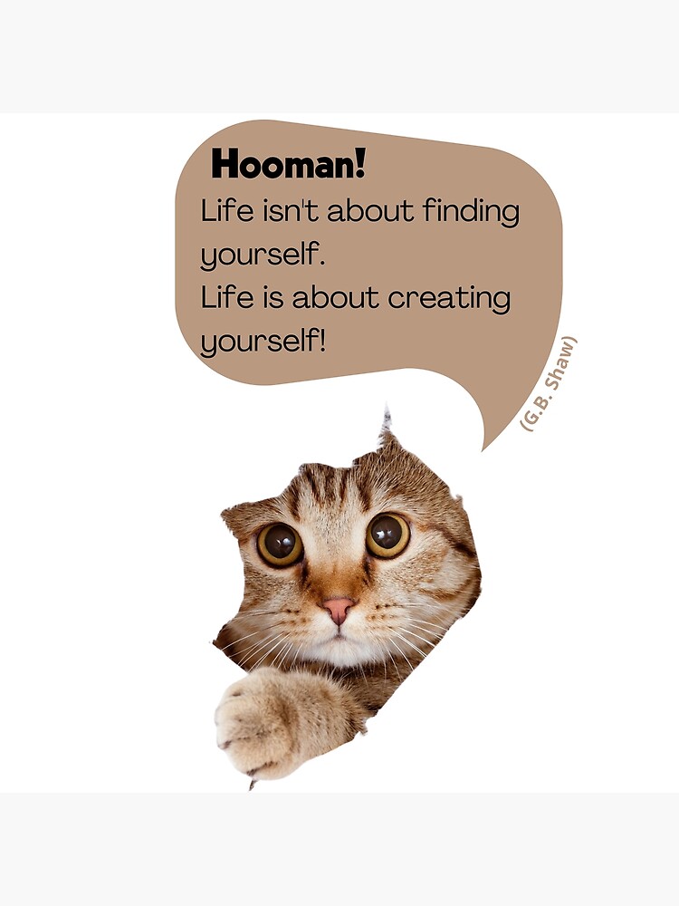 "Warning Cat Shaw Quote" Poster for Sale by QuotesBanana | Redbubble