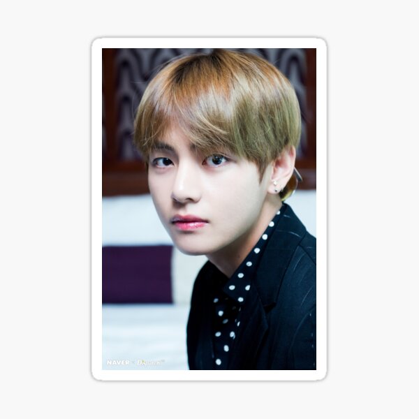 "BTS V" Sticker for Sale by jellycactus | Redbubble