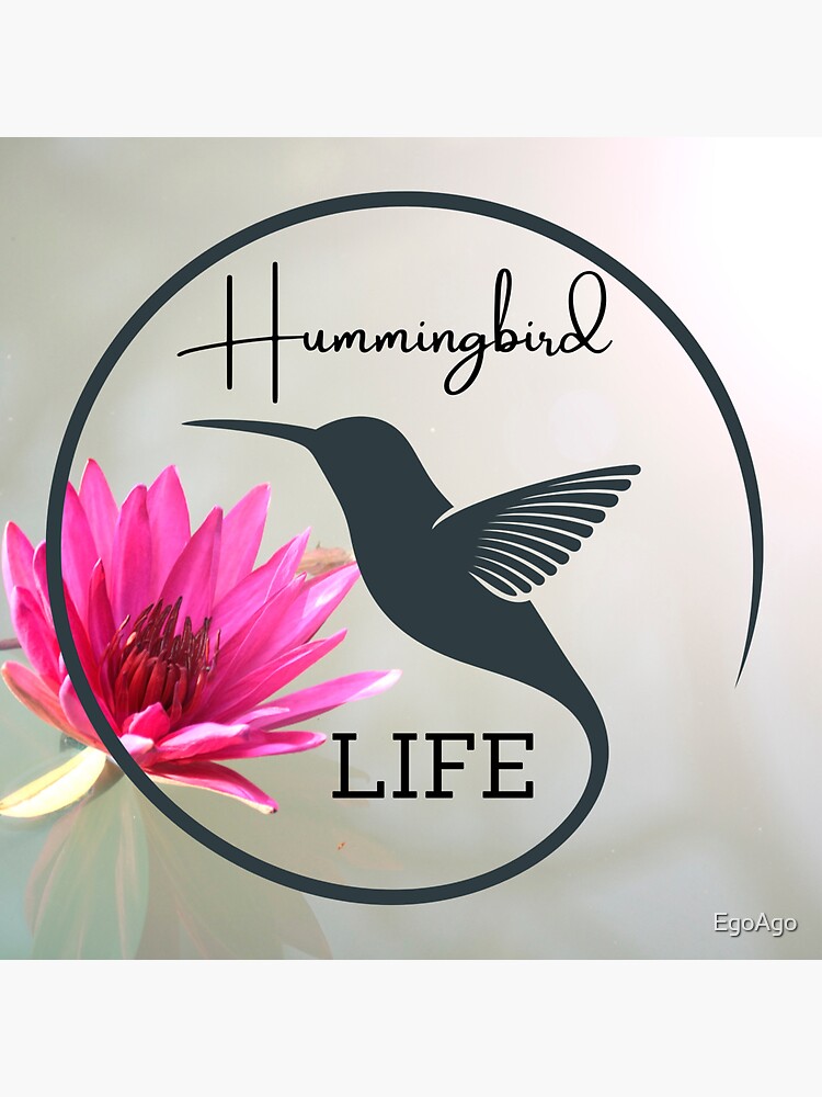 "HUMMINGBIRD LIFE - HUMMINGBIRD LIFE COLLECTION - PINK" Sticker for ...