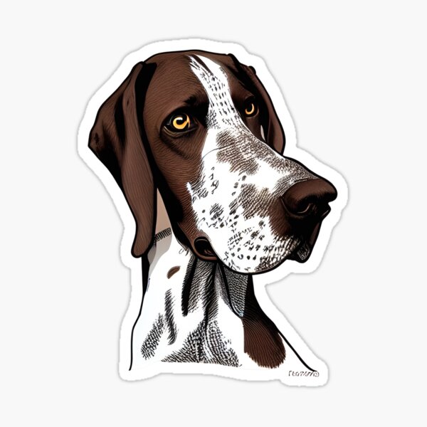 "German Shorthaired Pointer" Sticker for Sale by dmelana | Redbubble