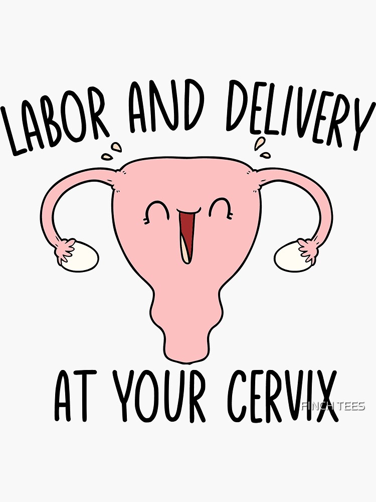 "Labor and Delivery At Your Cervix Healthcare; Nursing" Sticker for ...