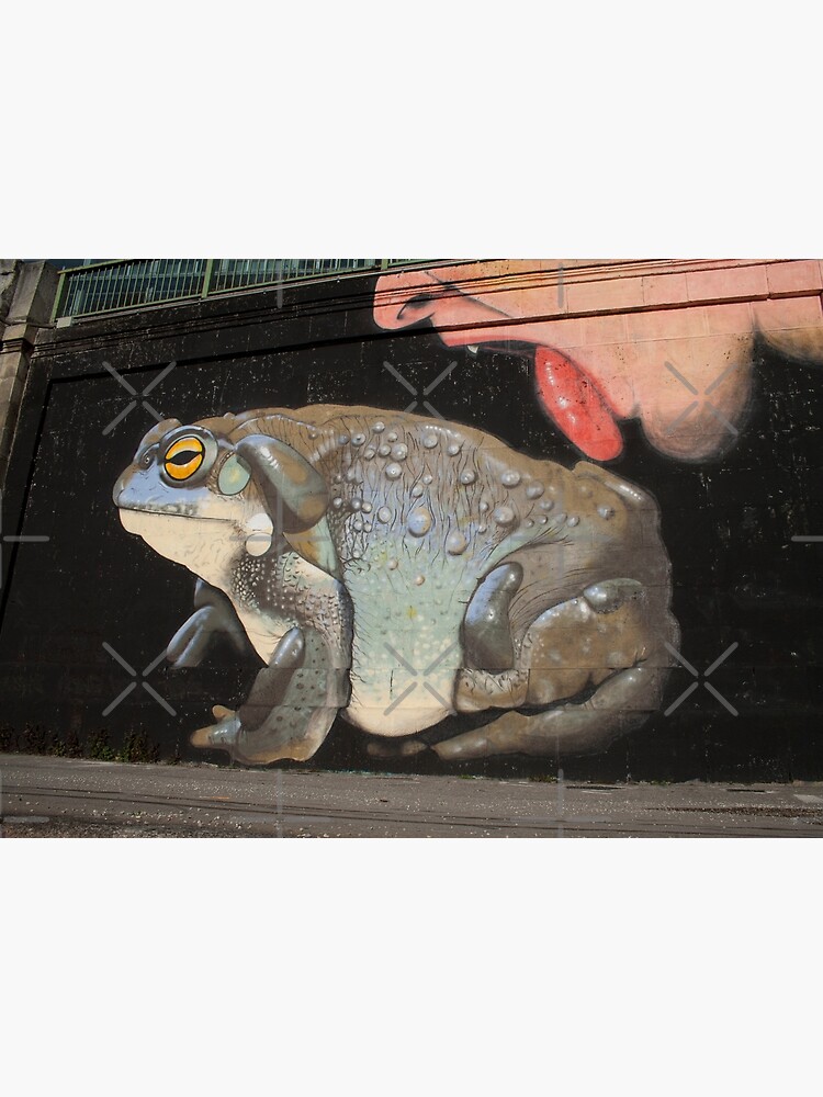 "Graffiti Psychoactive Toad" Poster by Mythos57 | Redbubble