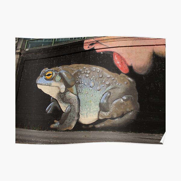 "Graffiti Psychoactive Toad" Poster by Mythos57 | Redbubble