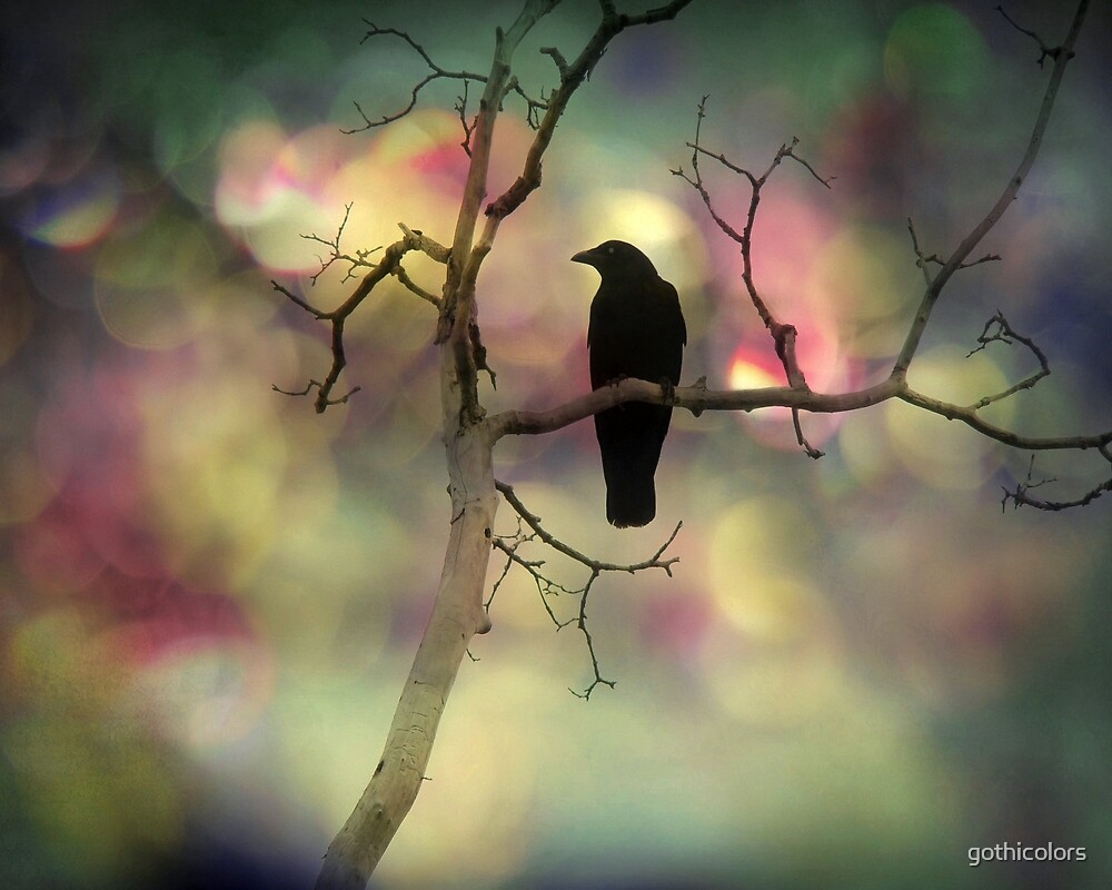 "Glowing Lights And Crow" by gothicolors | Redbubble