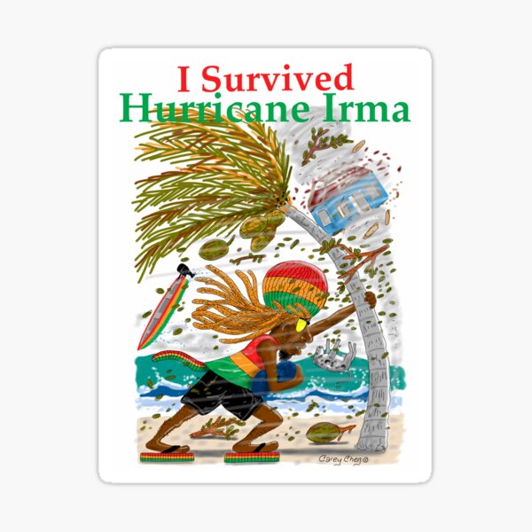 "I Survived Hurricane Irma " Sticker by Bluemarlin | Redbubble