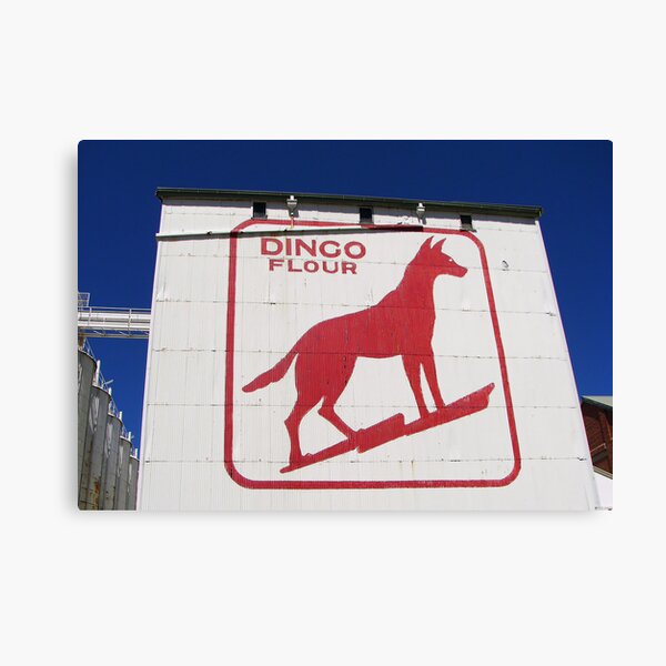 Dingo Flour Canvas Prints | Redbubble