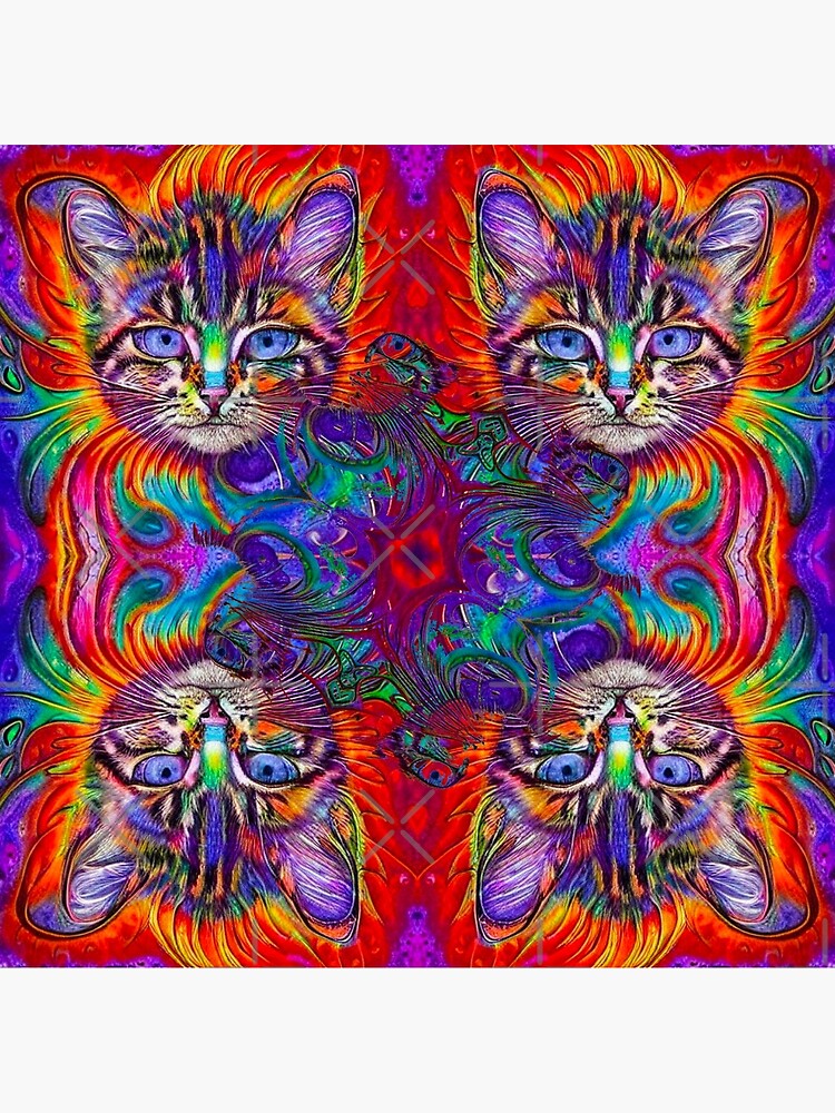 "Trippy Hippie Psychedelic Rainbow Kitten * Tie-dye Inspired Kitty Cat ...