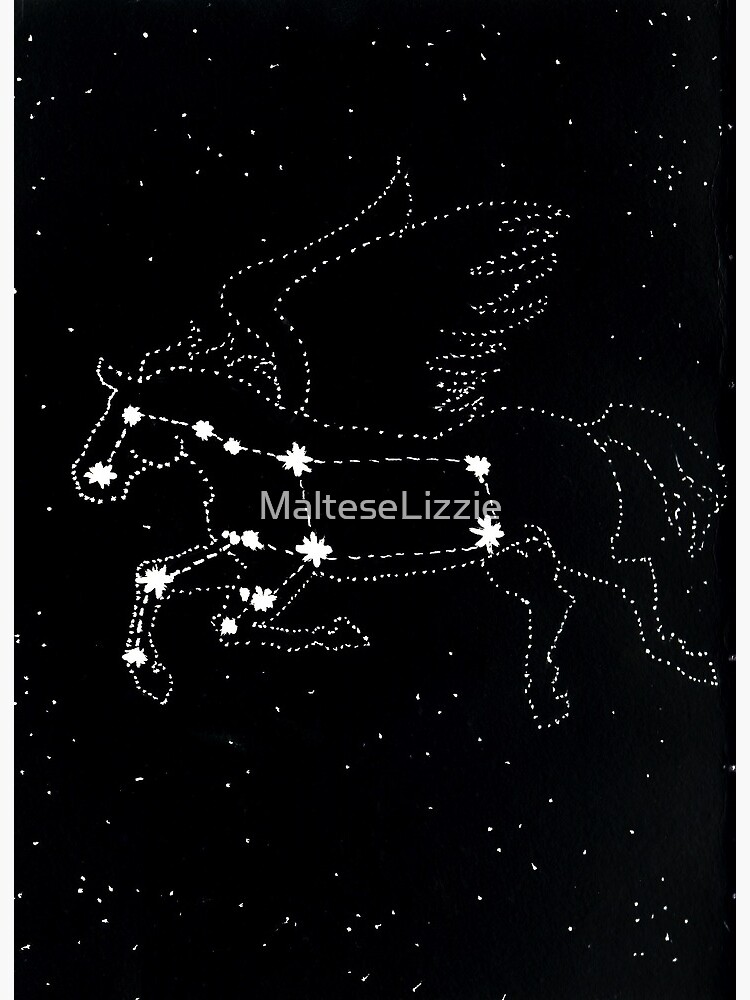 "Constellation: Pegasus" Art Print by MalteseLizzie | Redbubble