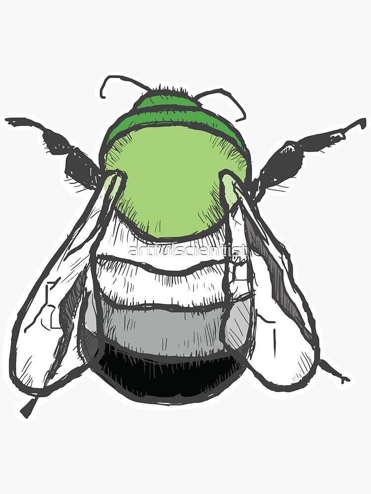 "Aromantic Bee" Sticker by artfulscientist | Redbubble