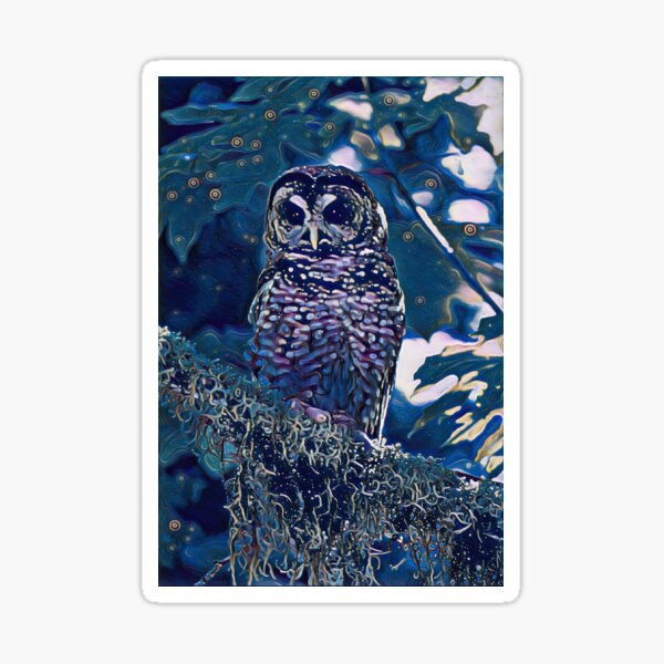 "SPOTTED OWL" Sticker for Sale by KatisDesign | Redbubble