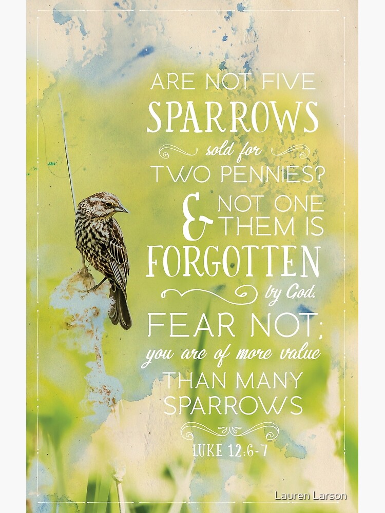 LUKE 12 6 7 Poster For Sale By Lalcreative Redbubble luke-12-6-7-poster-for-sale-by-lalcreative-redbubble