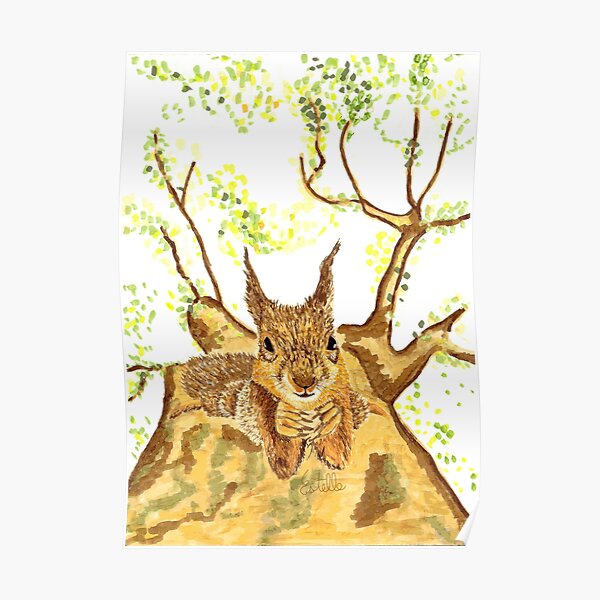 "Red squirrel" Poster for Sale by EstelleNaturals | Redbubble