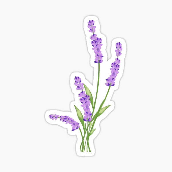 "Lavender flowers " Sticker for Sale by IbaaArts | Redbubble