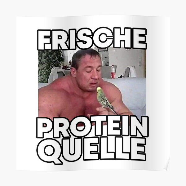 Markus Rühl Meme Frische Protein Quelle Poster For Sale By Bodyimprove Redbubble