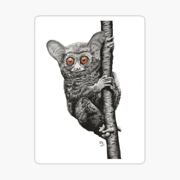 "Animal Tarsius Black and white big eyes" Sticker for Sale by El95Art ...