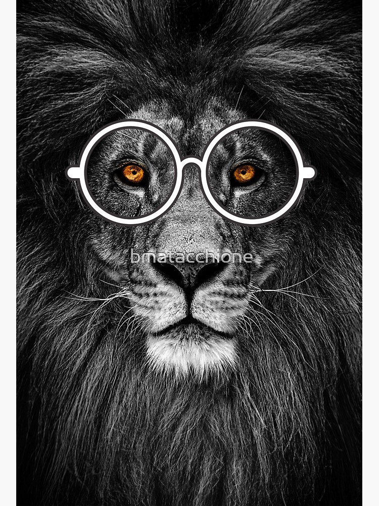 "THE WISE LION" Sticker for Sale by bmatacchione | Redbubble