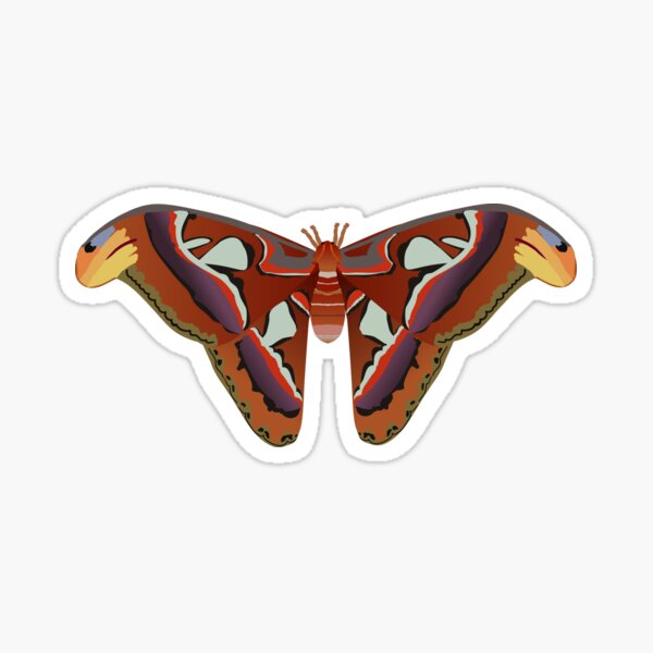 "A vector illustration of an atlas moth" Sticker for Sale by Bwiselizzy ...
